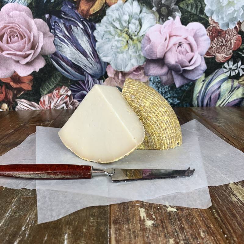 Rachel - Love Cheese